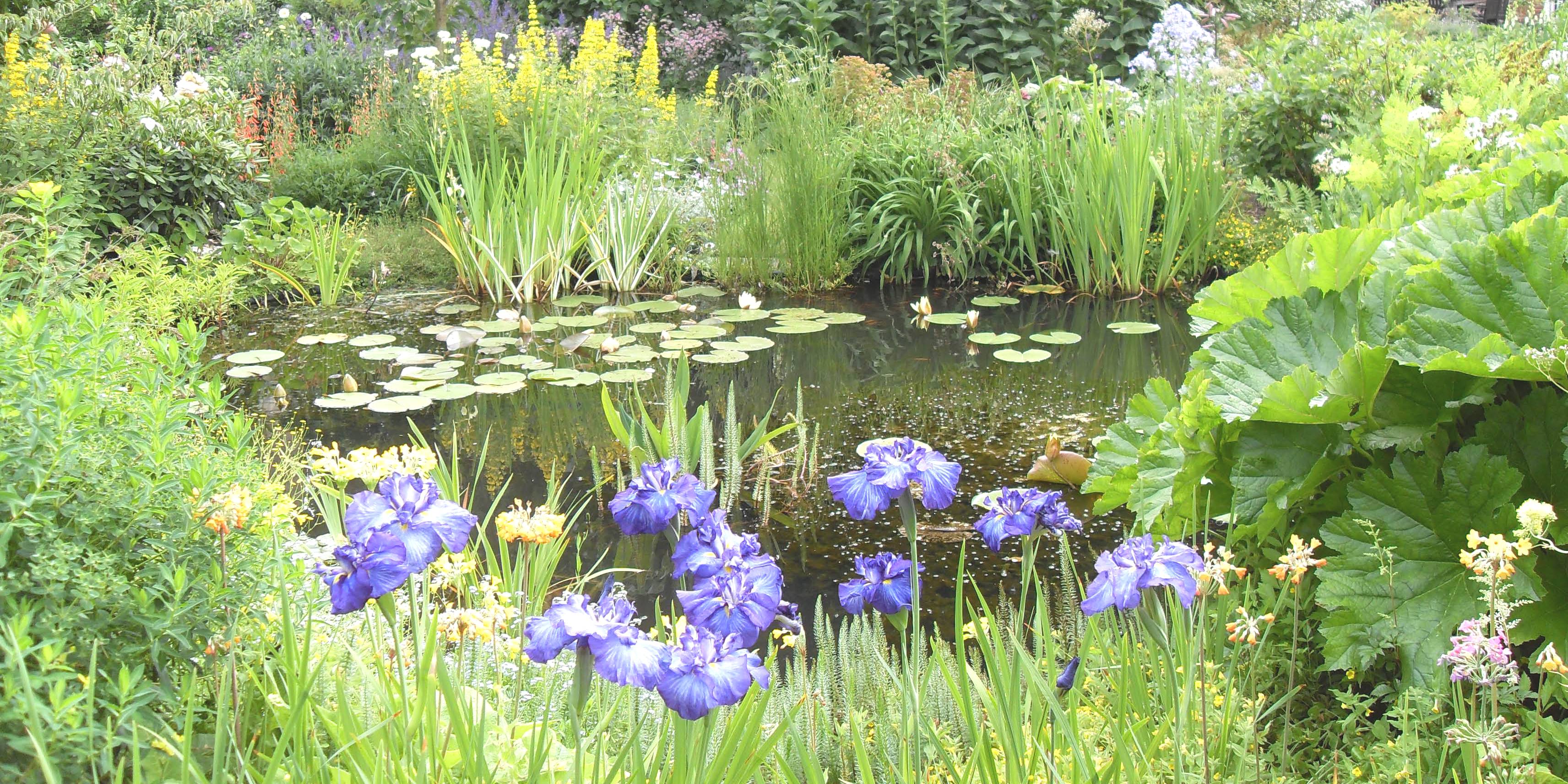 Vijver aanleggen - Bereik tot 226 tuinaannemers rond As